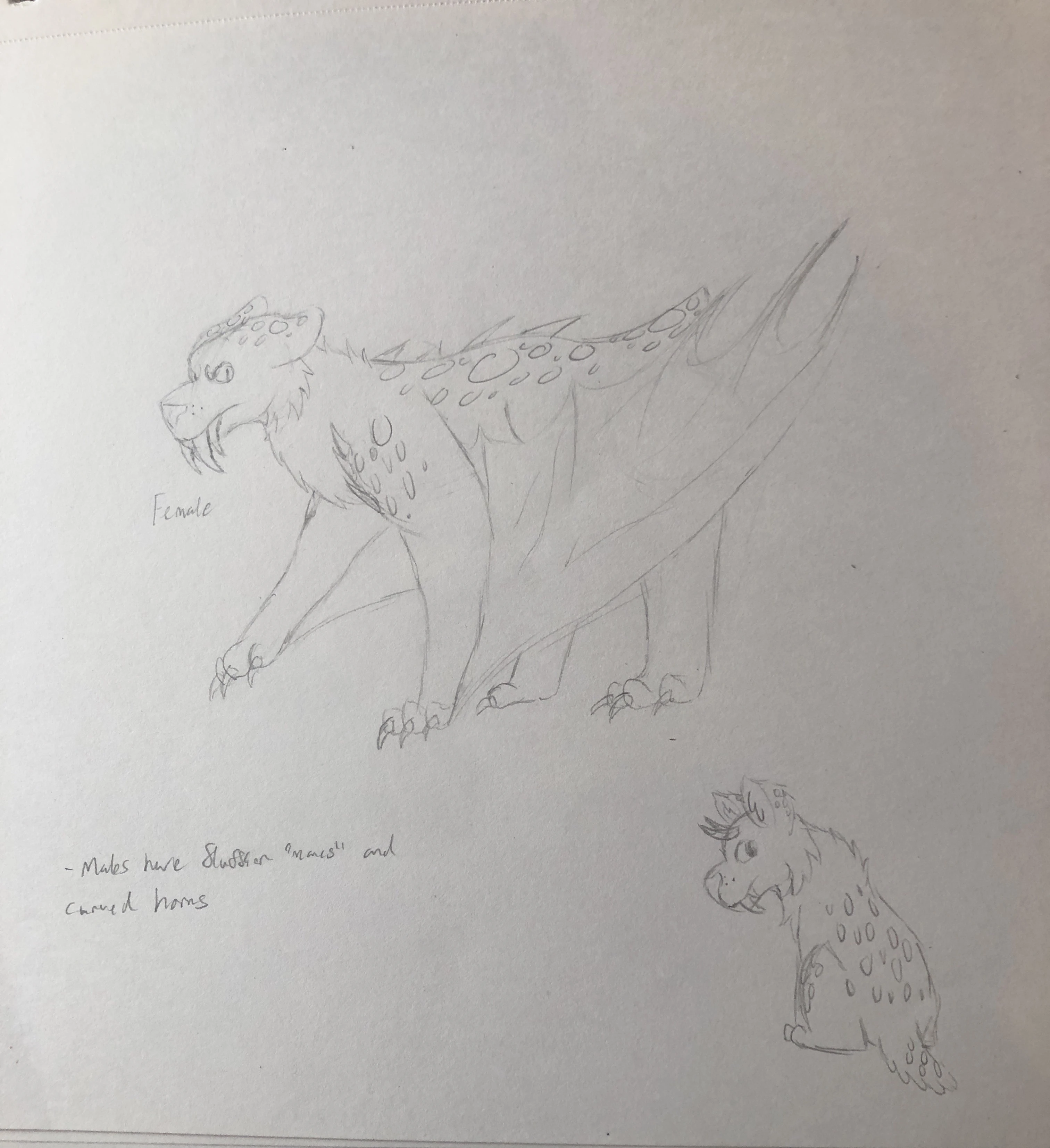 Creature Fan Concept | Fandom