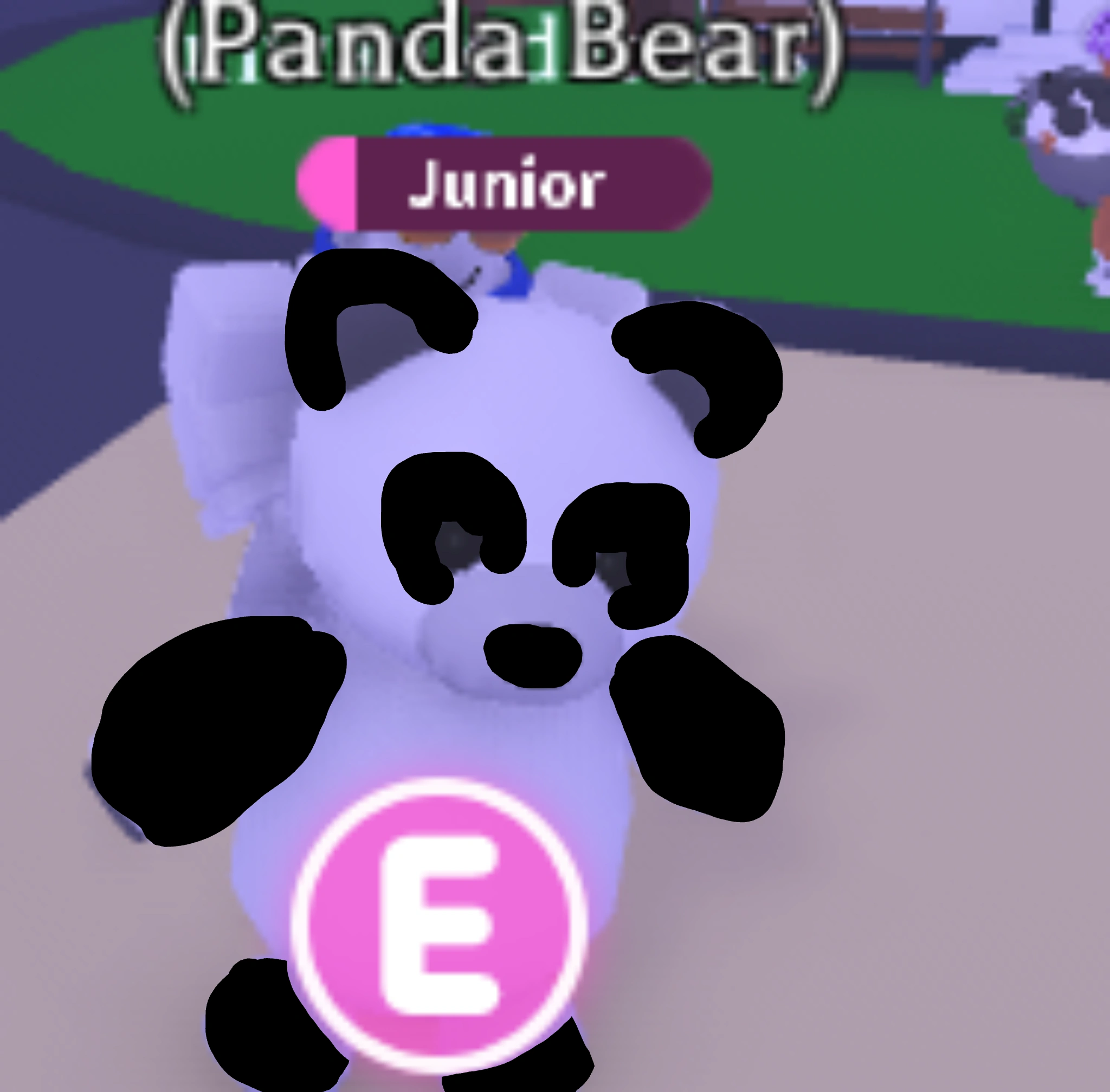 TrAdInG pAnDa bEaR | Fandom