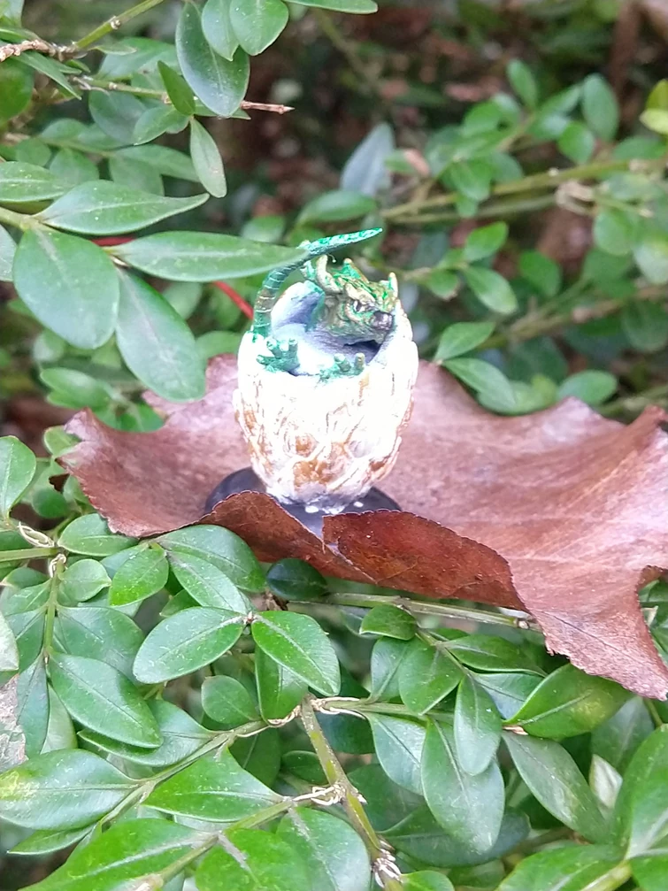 Baby Sundew | Fandom