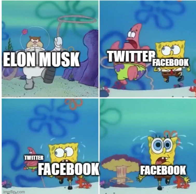 Twitter's takeover in a Nutshell | Fandom