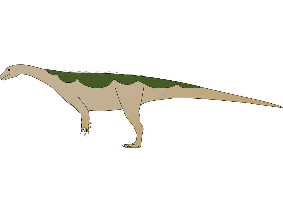 Riojasaurus | Fandom