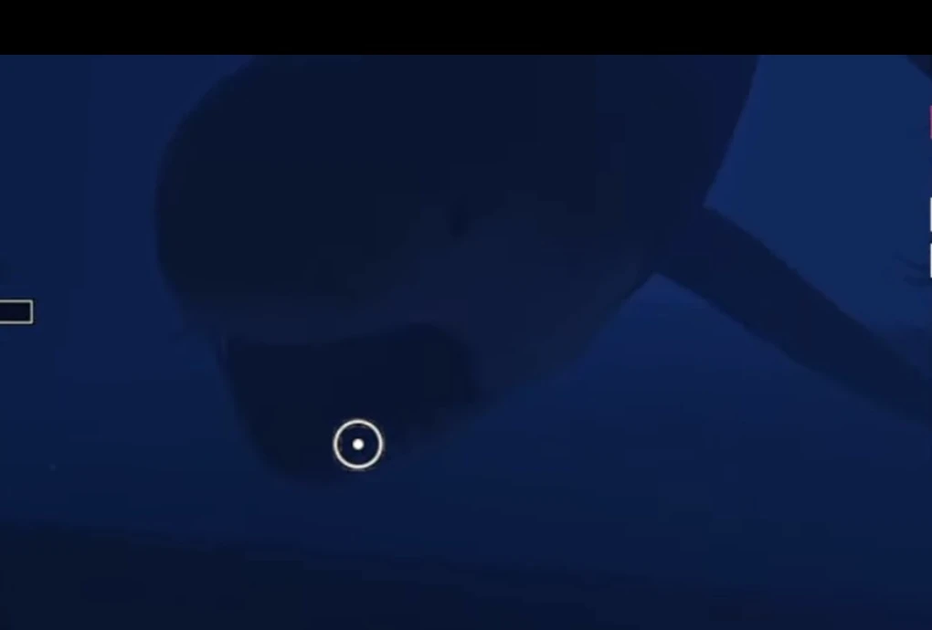 Pop Shark :33 | Fandom