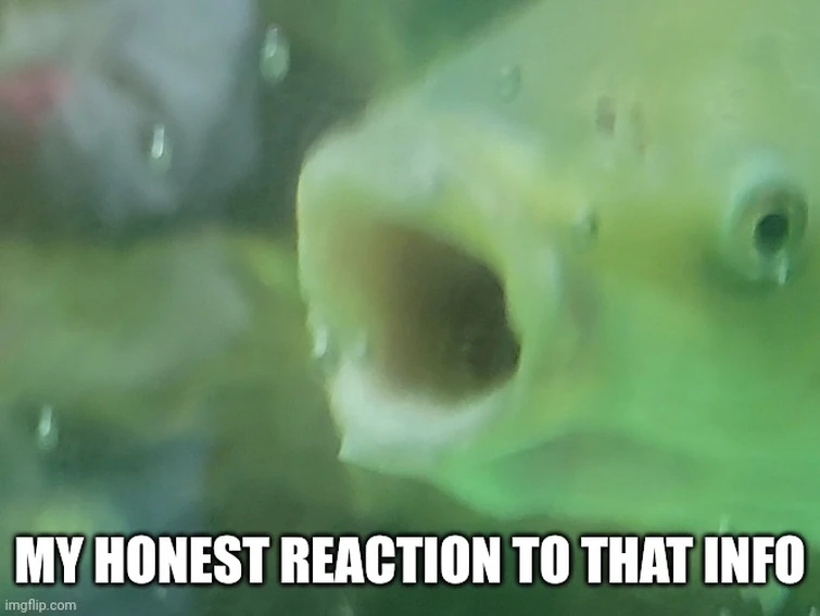 Guys I'm curious..... | Fandom