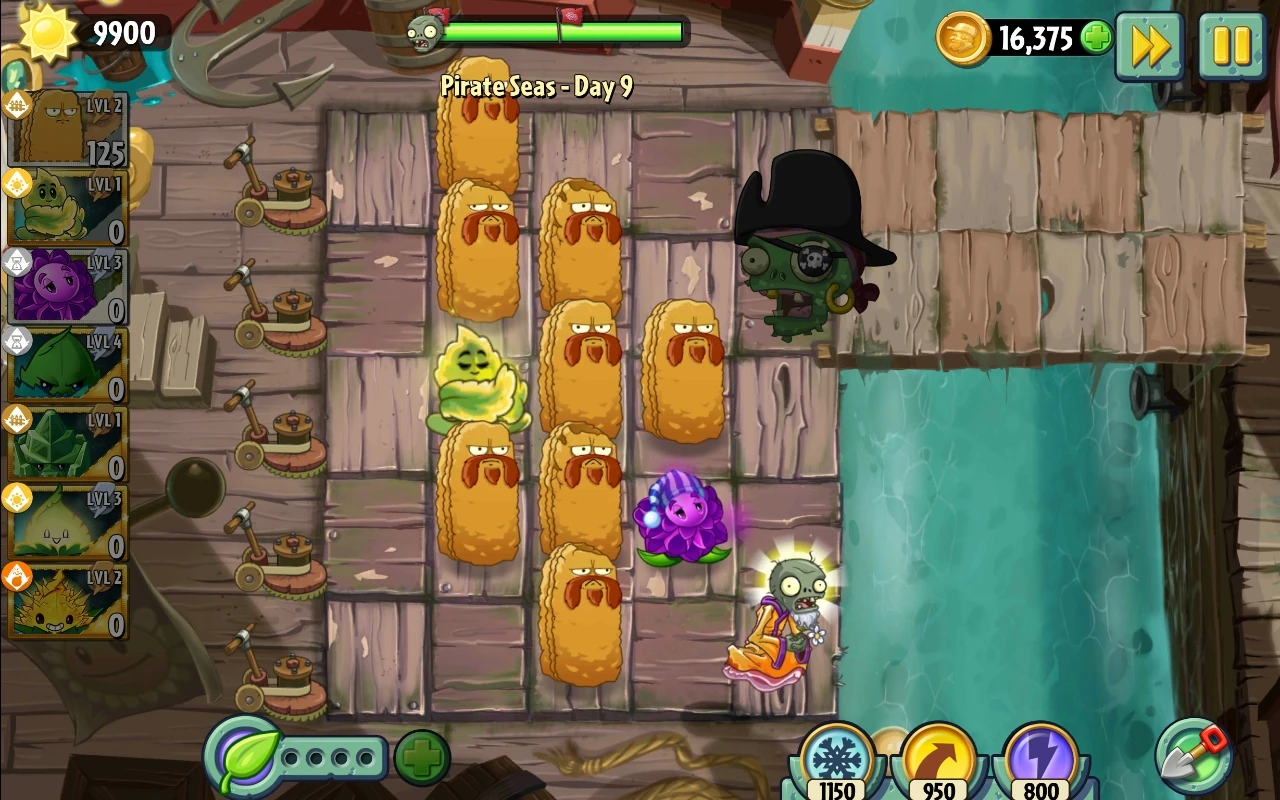 The enlightened Zombie coming from the Solar Sage, it actually lags ...