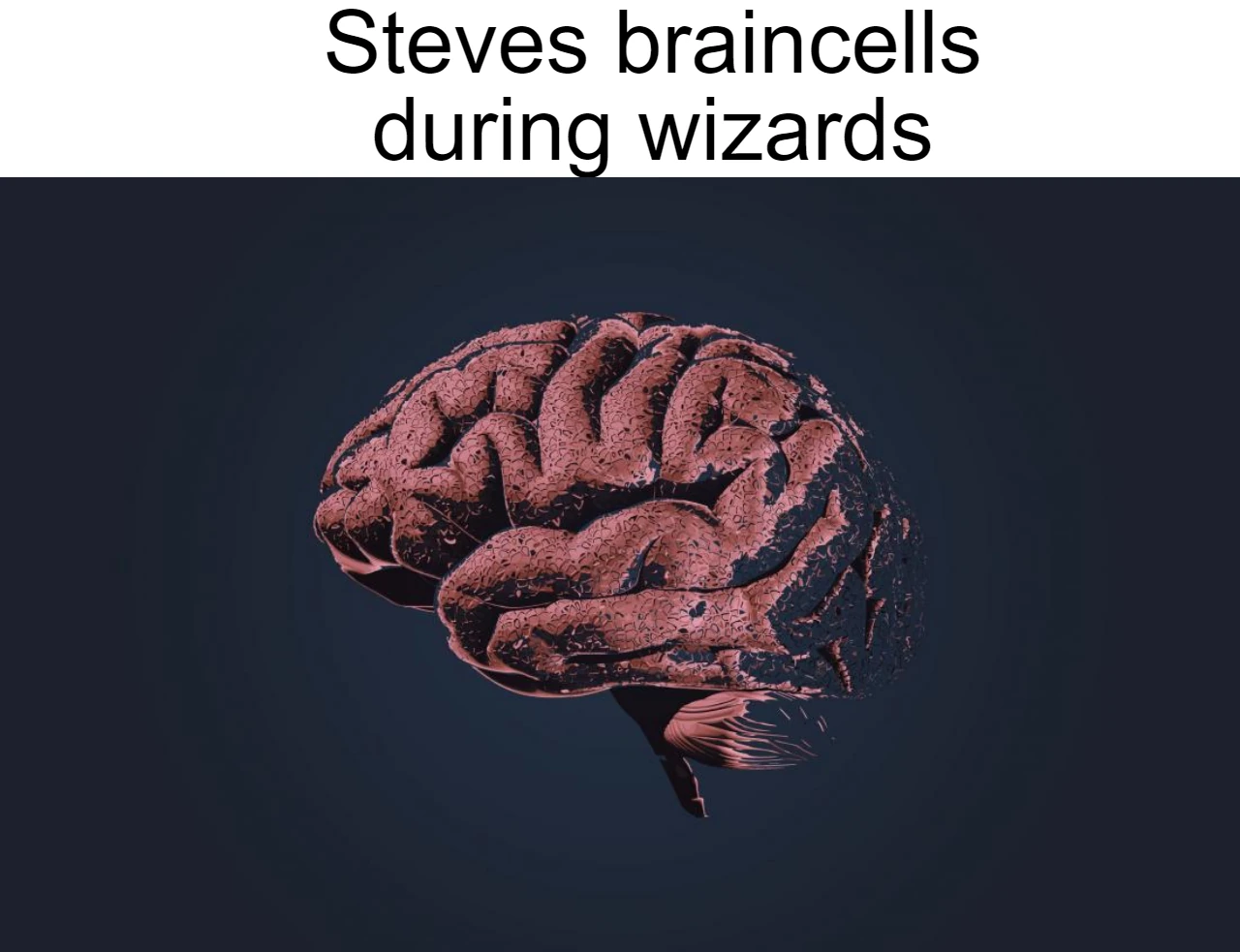 Fandom