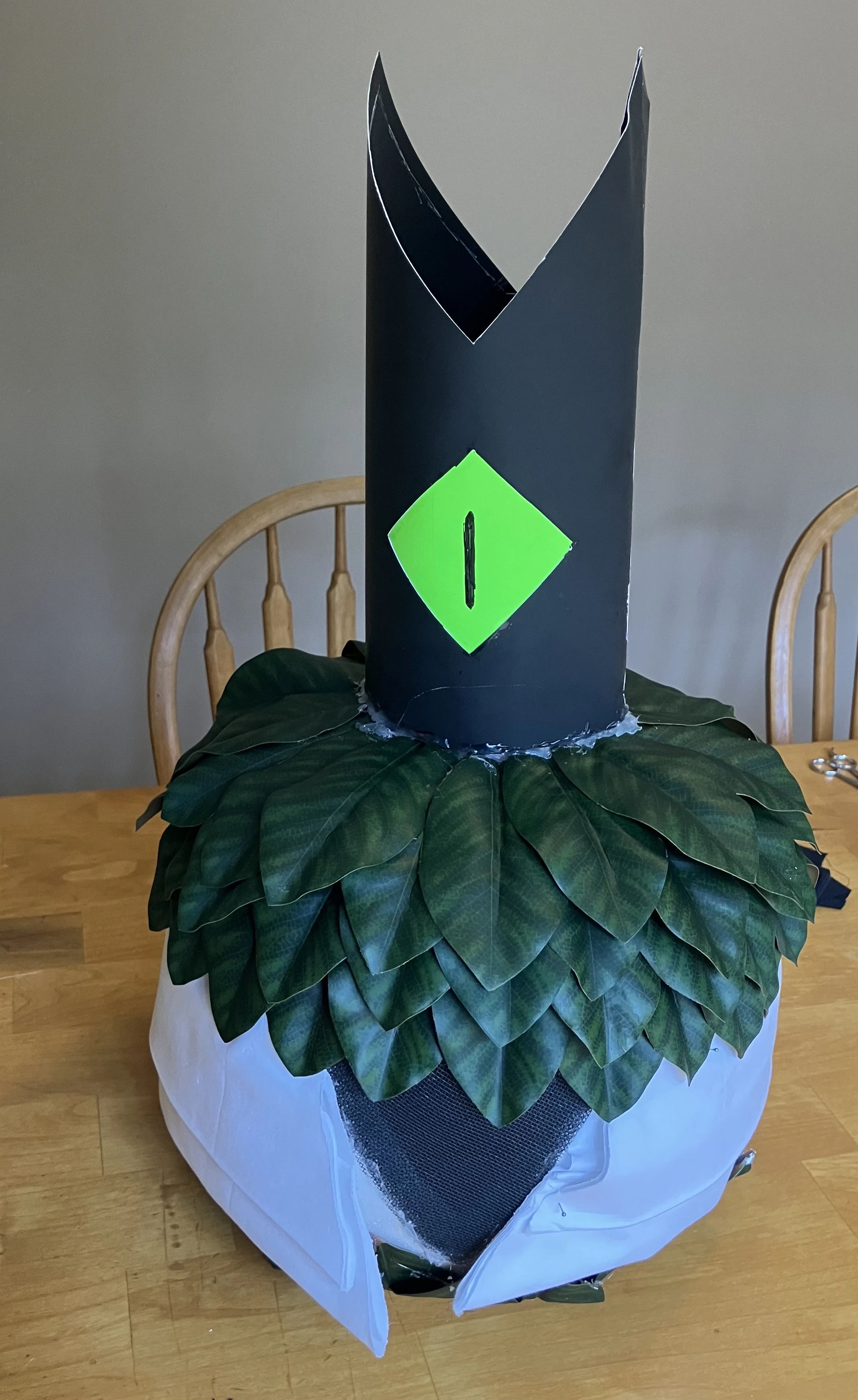 Halloween costume! | Fandom