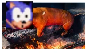 sonic the hog | Fandom