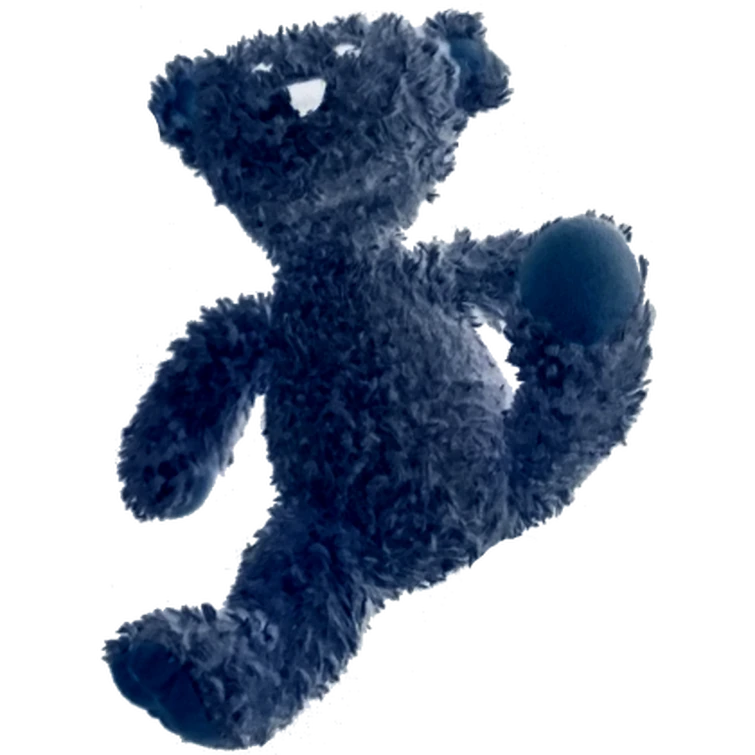 Discuss Everything About Roblox BEAR Wiki | Fandom