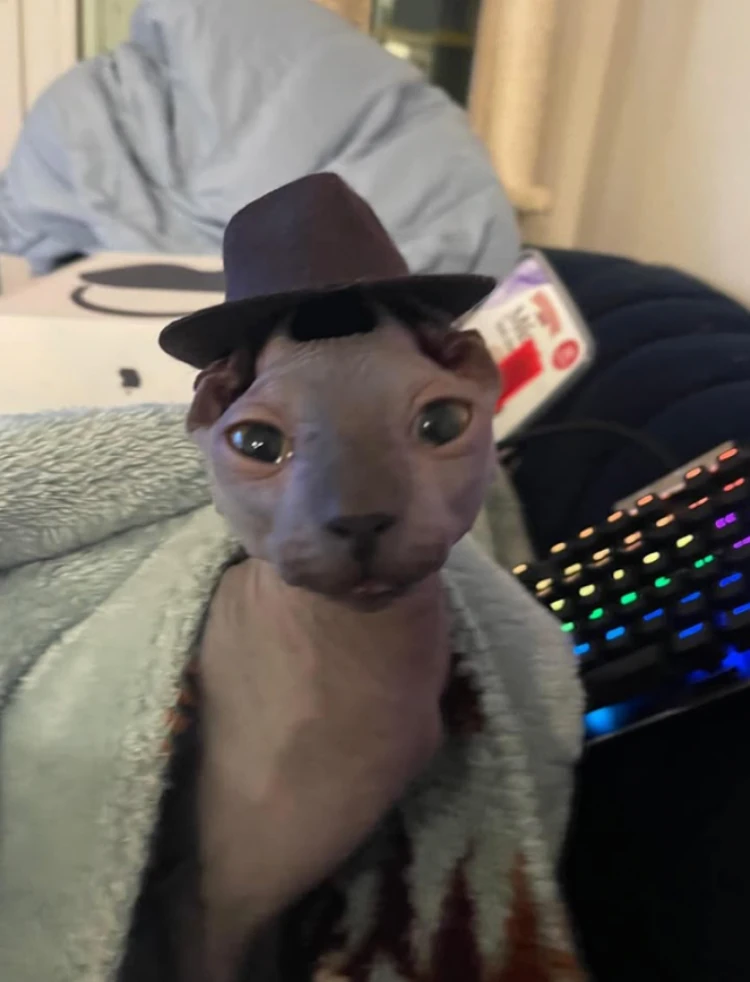 Is anyone alive | Fandom