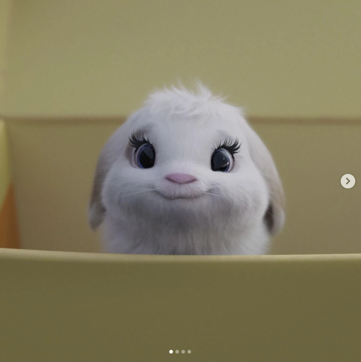 Happy Chinese New Year! | Fandom