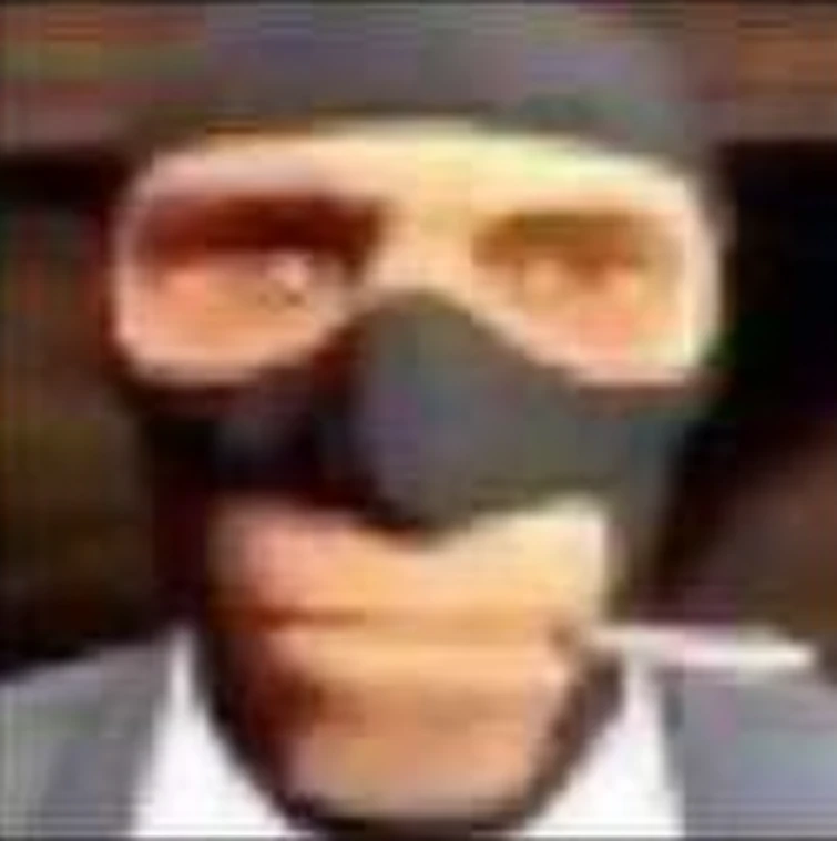 Shroomette's goofy aaaa q&a | Fandom