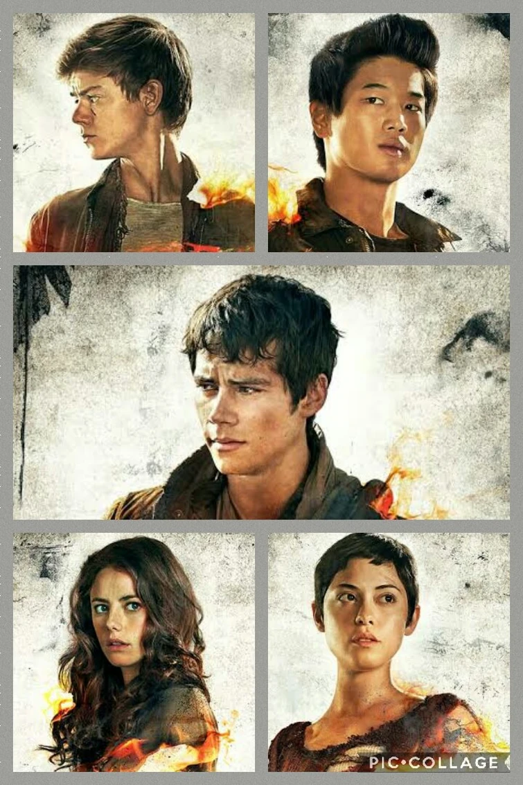 Discuss Everything About The Maze Runner Wiki | Fandom