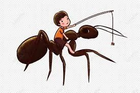 ok but how can you even ride an ant 💀 | Fandom