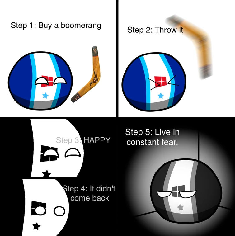 The Boomerang incident | Fandom