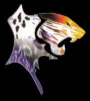 Beast Rune | Suikoden's Runic Hierarchy Wiki | Fandom