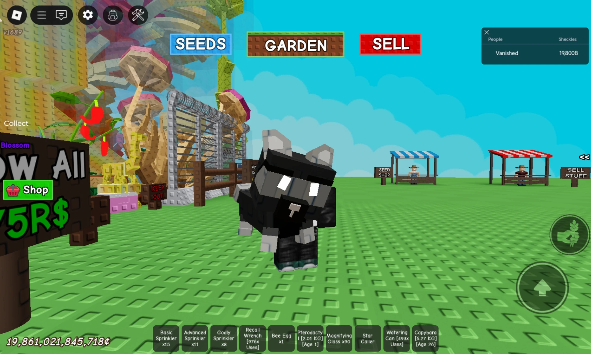 Idk why people think French fry ferret is mid | Fandom