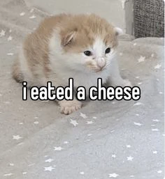 me whenn uhmmmm i uh then i uhhhhhh | Fandom