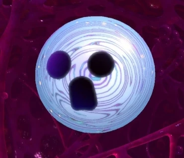 Which Void Termina are you today? | Fandom