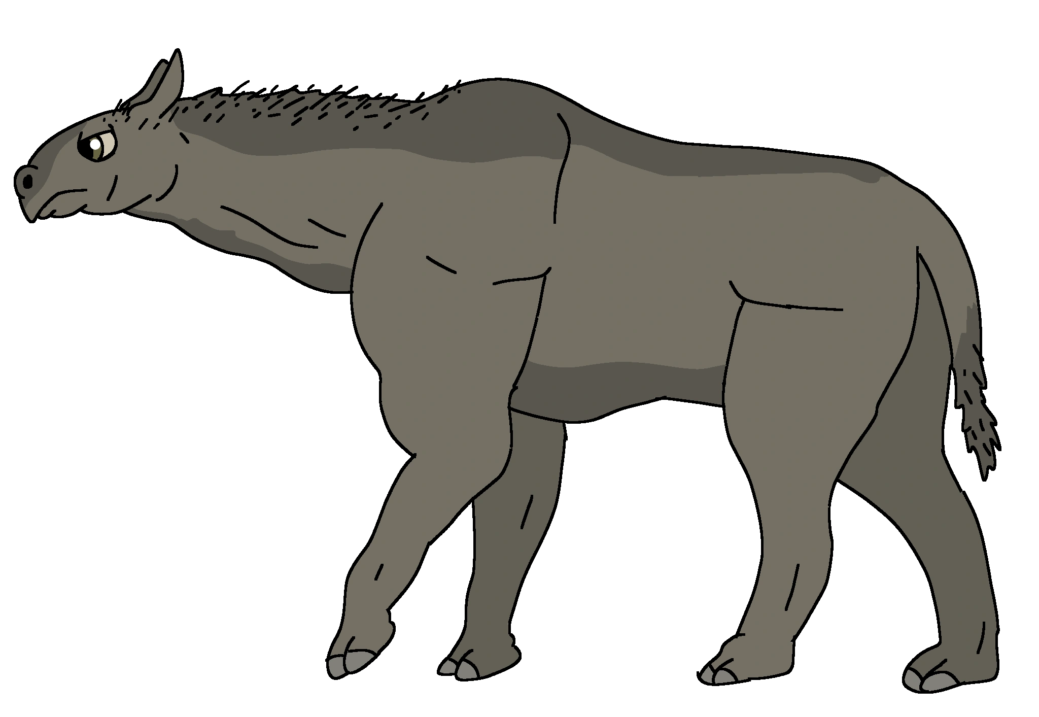 Paraceratherium Drawing | Fandom