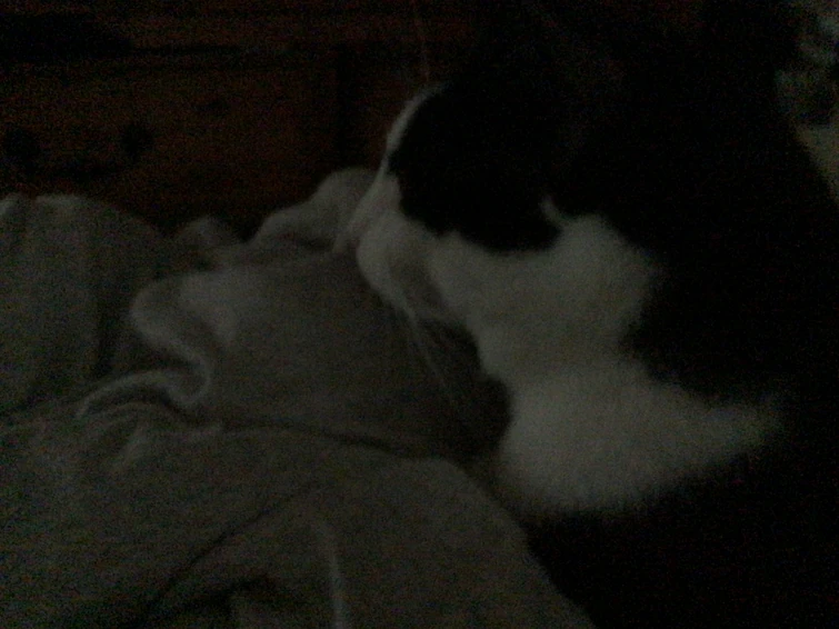 internal crying | Fandom