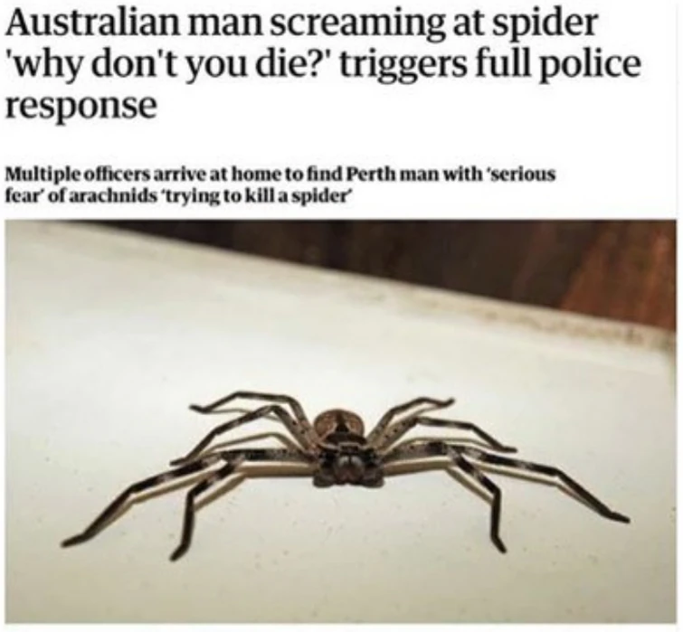 some aussie memes for yall | Fandom