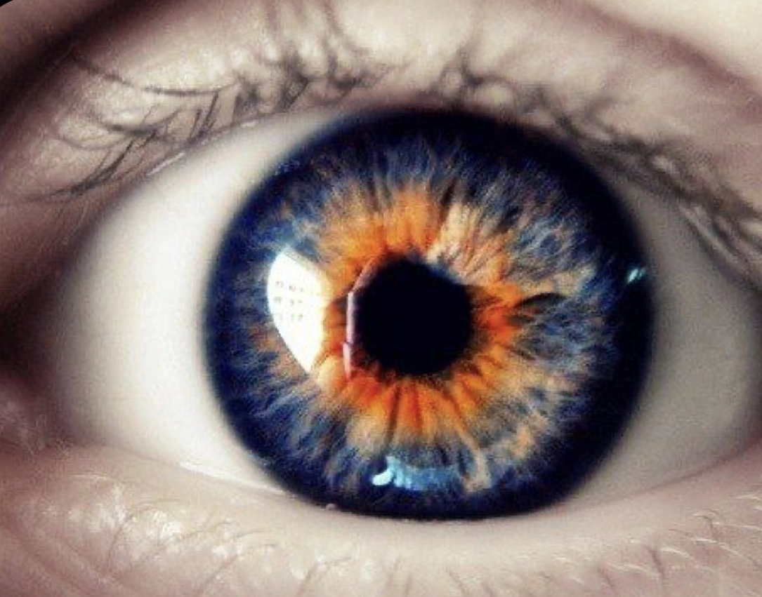 Aelins Eyes? | Fandom