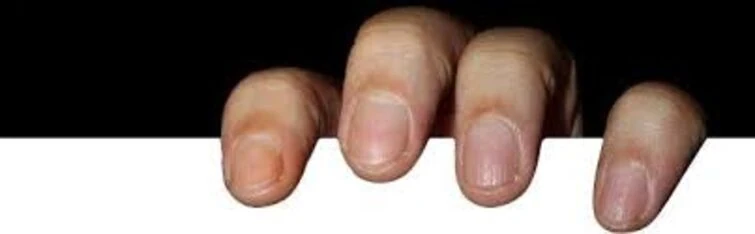 New cookie crossover. | Fandom