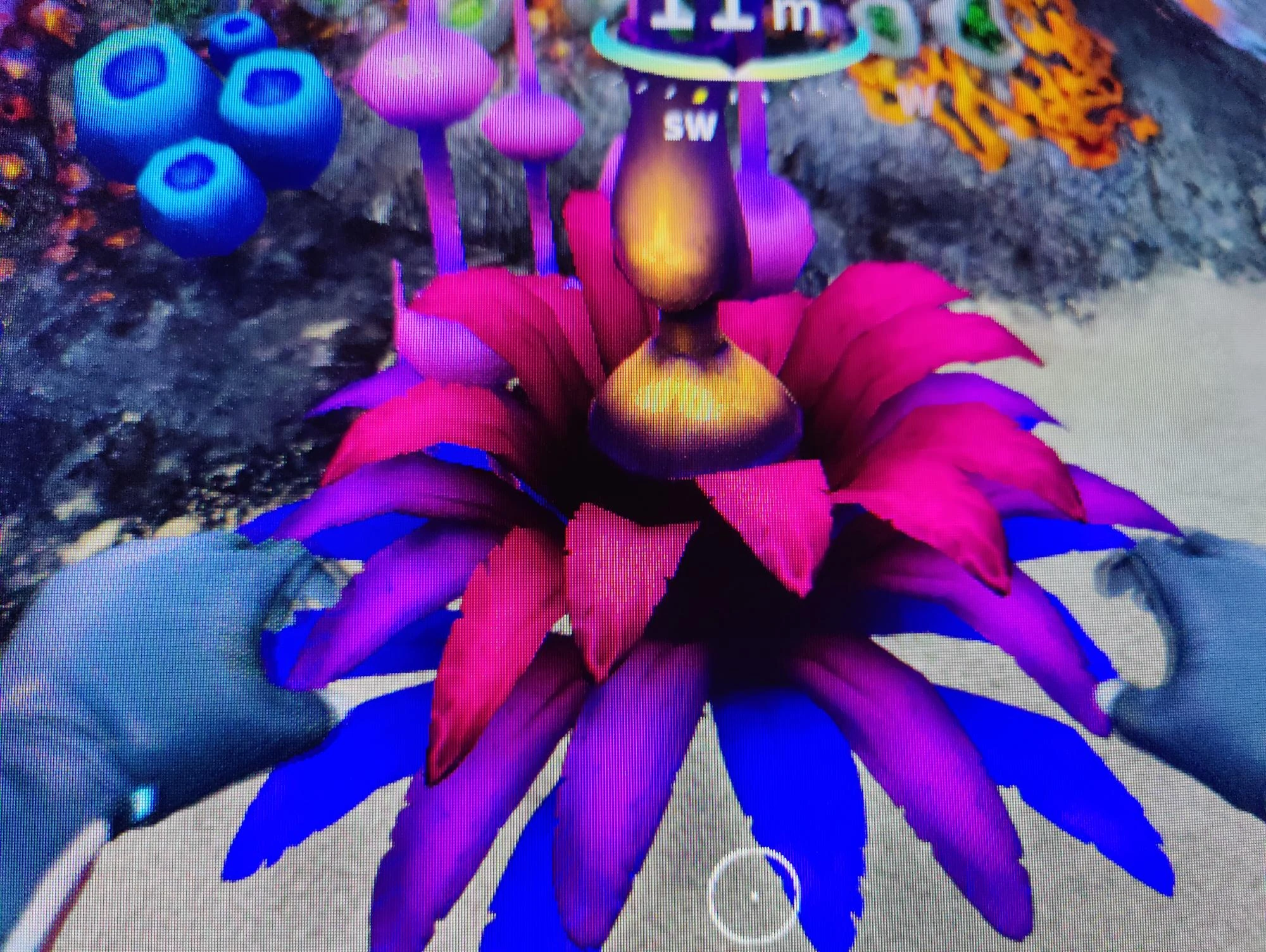 Bi flower | Fandom