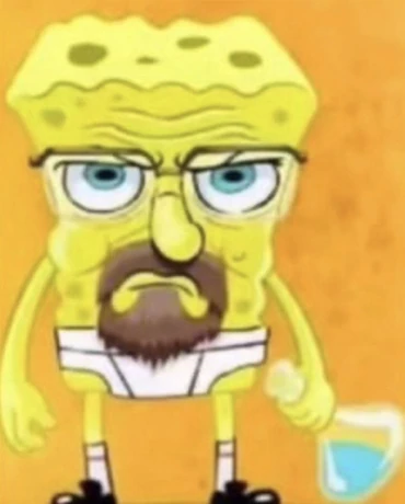 On January 1st the one that has the most % will be my pfp for a month ...