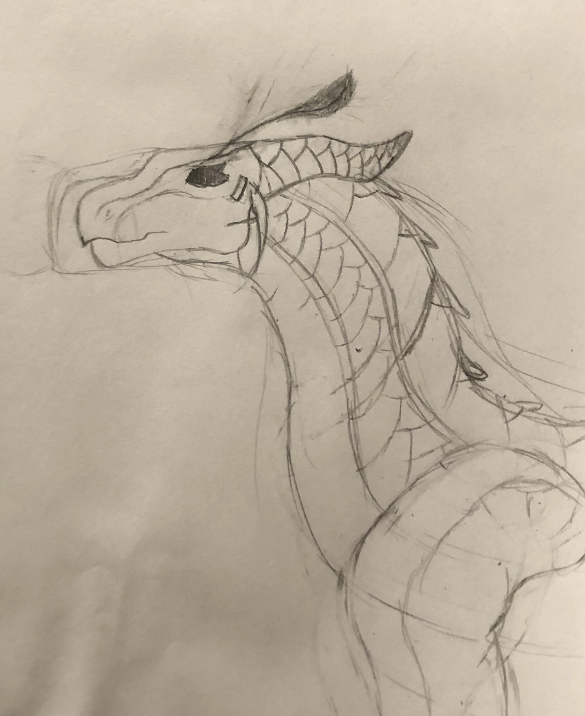 *slams head on table* (traditional OC art) | Fandom