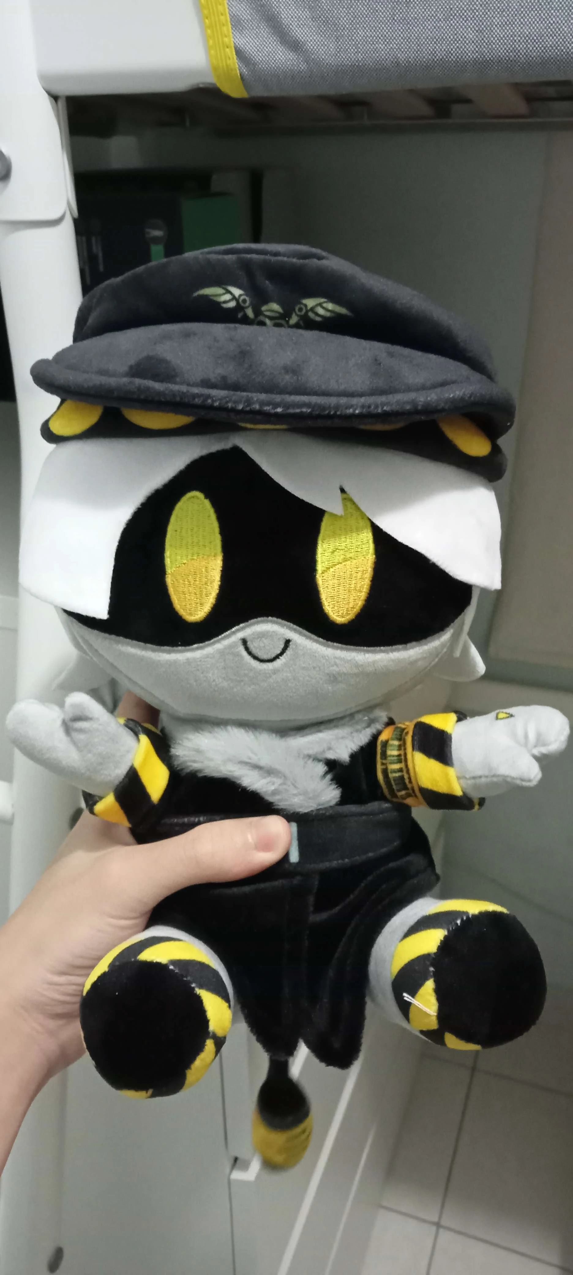2 days ago, my N plushie had finally arrived :) | Fandom