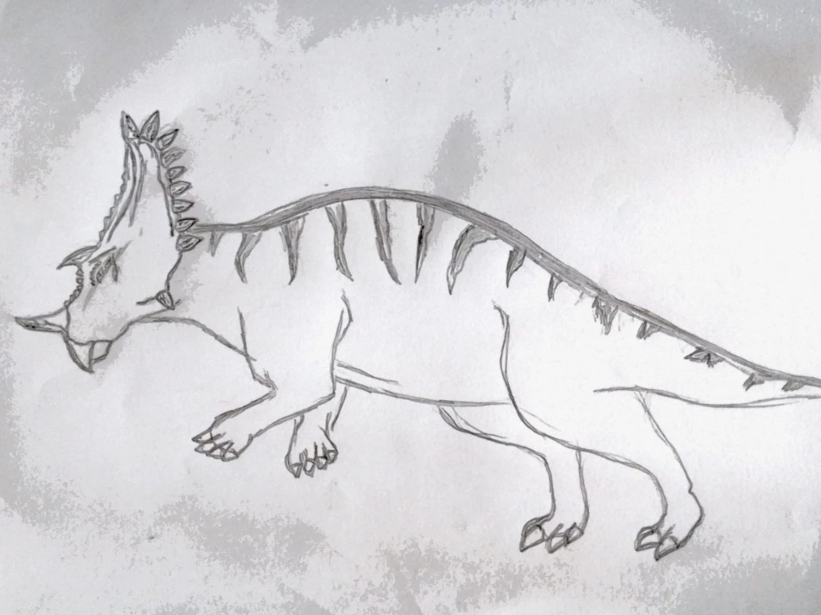 Regaliceratops aka Hellboy | Fandom