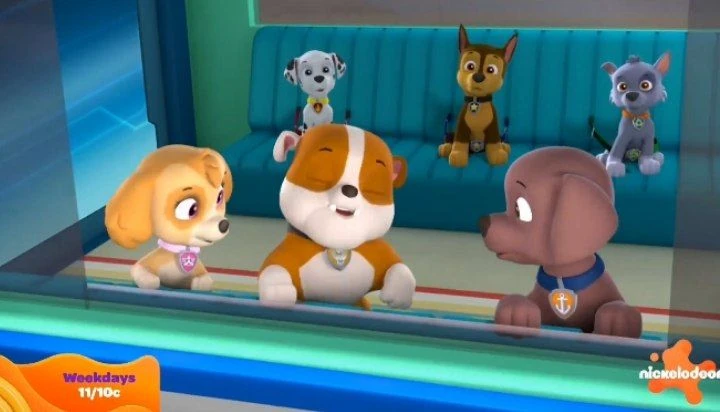 New on Nickelodeon 2023 | Fandom