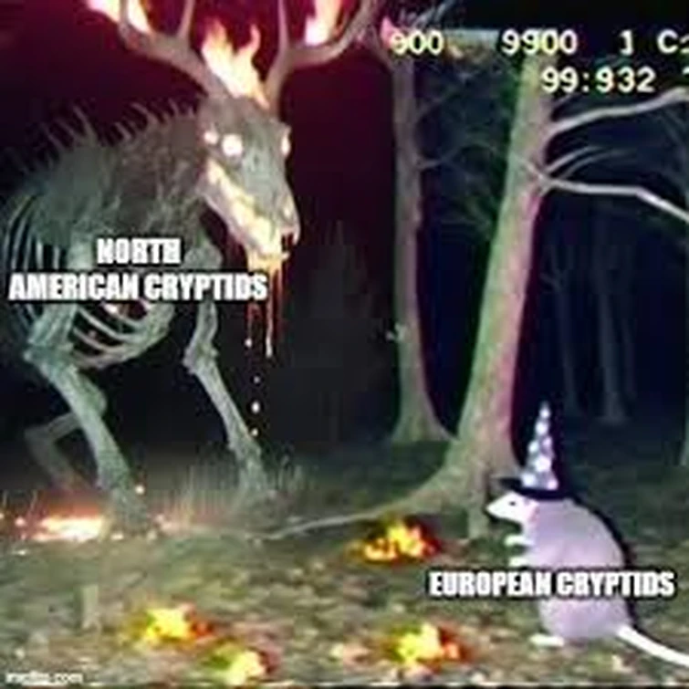 Discuss Everything About Cryptid Wiki | Fandom