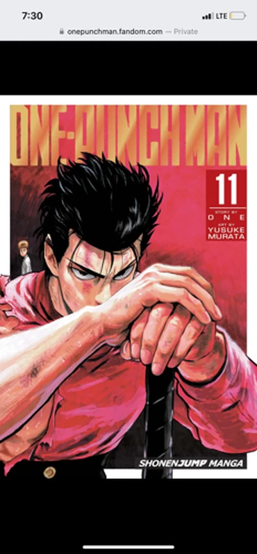 Best OPM Volume Cover (Round 3) | Fandom