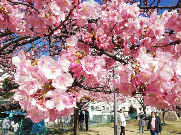 Wonderful PreCure goods will be on sale at Pretty Stores from February ...