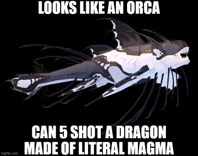 Magnacetus slander (click for full image) | Fandom