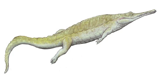 Imagine if the Teleosaurus has Needy-like teeth | Fandom