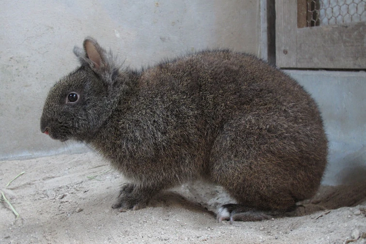 Funny&interesting illustrations(English translation): November 10, 2024 ...