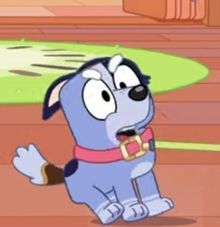 Discuss Everything About Bluey Wiki | Fandom