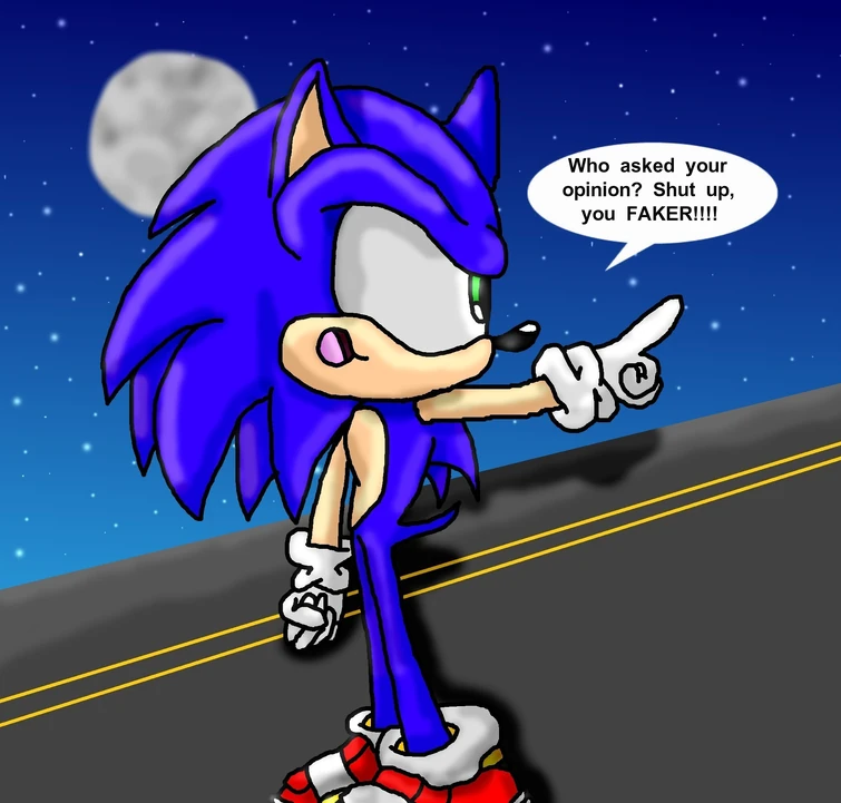 When u tell sonic to go slow | Fandom