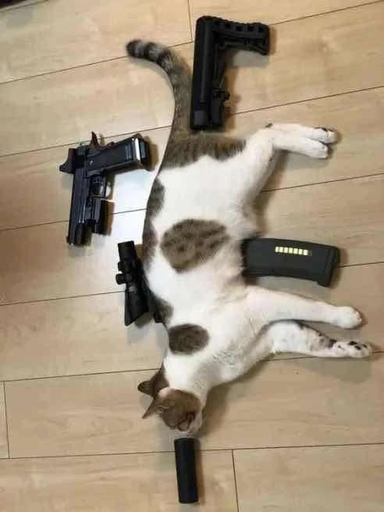 The things I have seen in teh TDX discord | Fandom