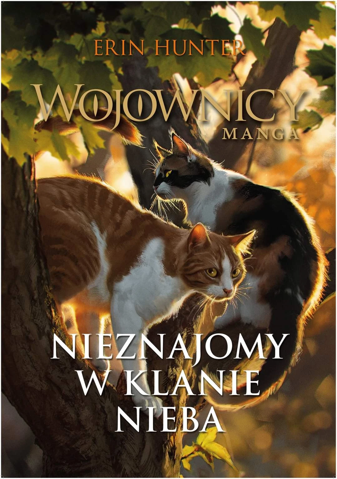 Okładka NWKN! | Fandom
