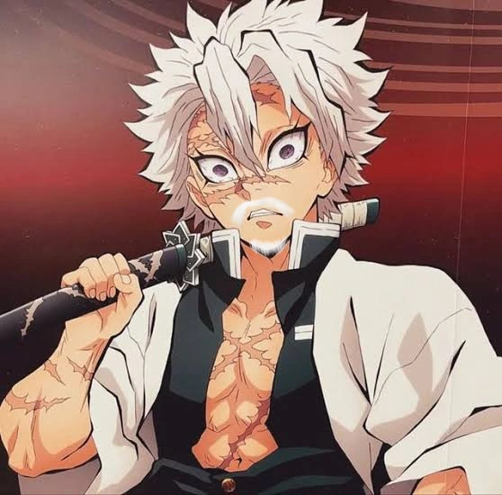 Hashiras with facial hair 2/7 Shinazugawa Sanemi | Fandom