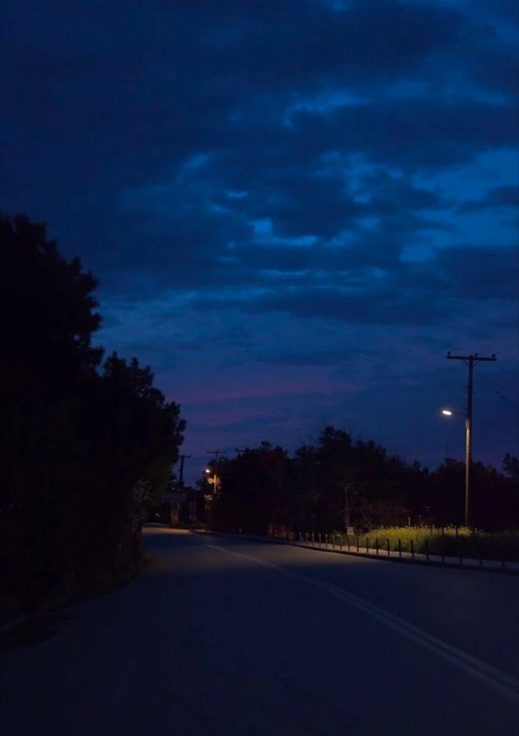 Please give me a fitting image to put this creature I drew | Fandom