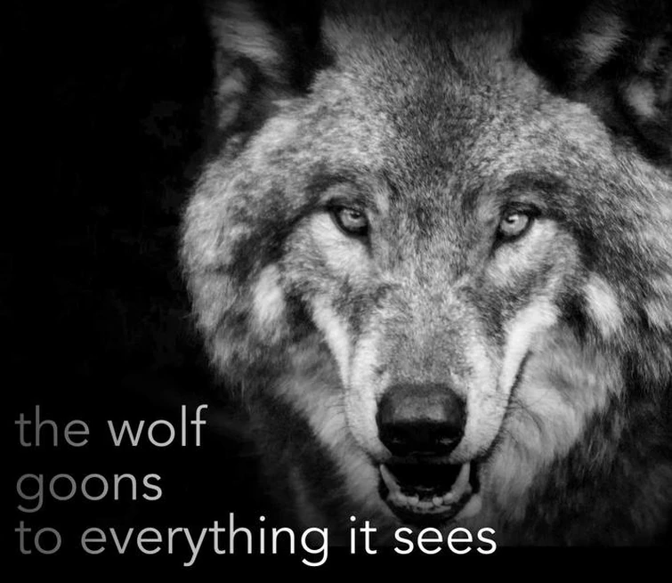 The wolf | Fandom