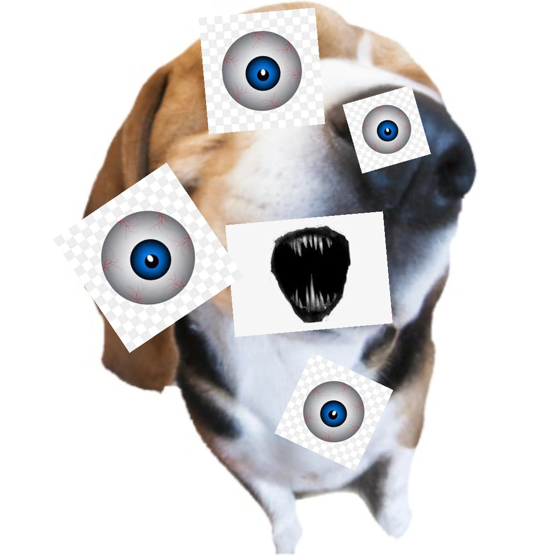 WHAT THE HELL | Fandom