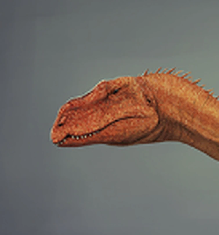 Discuss Everything About Spin Wheel Battles/Tyrant Universe Wiki | Fandom