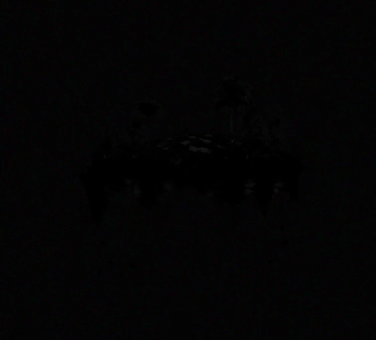 I managed the reveal the image of level 999 | Fandom