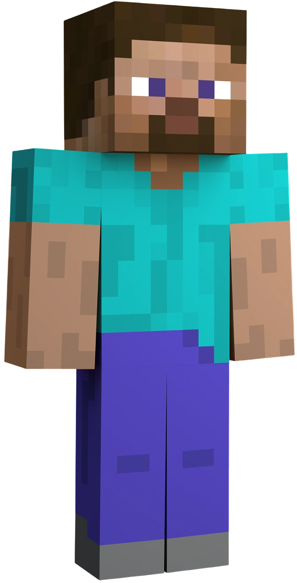 Give Minecraft Steve (Survival Mode) 2 Powers | Fandom